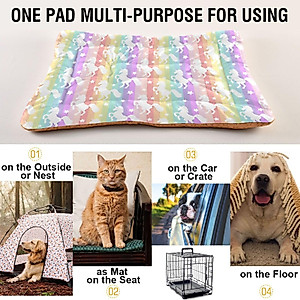 Coikll Rainbow Unicorn Pet Bed Pad Soft Dog Bed Mat with Anti-Slip Bottom, Machine Washable Crate Pad Mattress for Dog Sleeping- 24 * 18inches