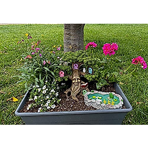 GlitZGlam Fairy Garden Enchanted Joshua’s Miniature Tree (10.5 Inch Tall) for The Garden Fairies and Lawn Gnomes. A Fairy Garden Accessory