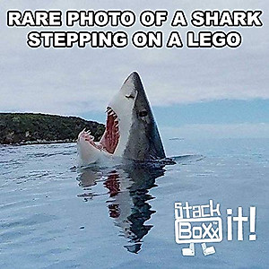 Stack Boxx Stackable Organizer and Storage Container (White) +Free Case | Be Clutter-Free, Be Happy! 5 Layers w/Handle -Perfect Solution for Kids Toys, Art Crafts, Jewelry, School & Office Supplies