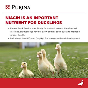 Purina | Nutritionally Complete Duck Feed for All Life-Stages | 5 Pound (5 lb.) Bag