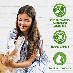 Pogi's Ultimate Dog Wipes Home & Travel Bundle - 400-Count Grooming Wipes for Home and 240-Count Packs for Travel