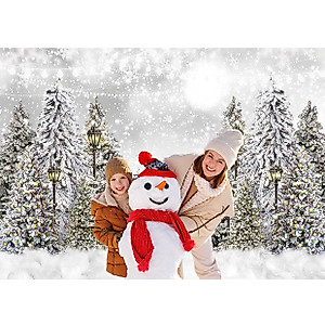 Alltten Winter Backdrop Winter Wonderland Backdrops Christmas Party Photo Banner 7x5ft F100
