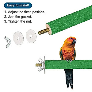 PATIKIL 0.8x13.8 Inch Bird Cage Perch, Parrot Stand Paw Grinding Stick Bird for Parakeet Cockatiel Cage Accessory, Green