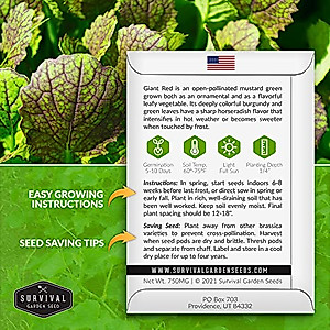 Survival Garden Seeds - Giant Red Mustard Greens Seed for Planting - Packet with Instructions to Plant and Grow Spicy Brassica Juncea Leaves in Your Home Vegetable Garden - Non-GMO Heirloom Variety