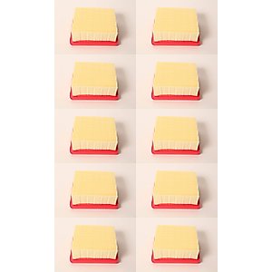 10 Pack Air Filter Fits Stihl BR800 BR800C BR800X 4283-141-0300 4283-141-0300B
