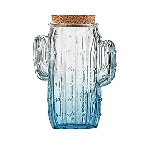 123Arts Glass Relief Cactus Candy Jar Candy Dish Container Snack Jar Food Storage Jar with Lid