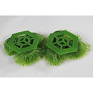 Penn-Plax Fish Breeding Grass – Baby Hideout for Fry – Great for Livebearers and Egg Layers – Plastic Aquarium Plants – 2 Pieces