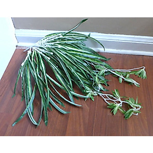 CHSGJY 2 Chlorophytum Grass Vine Artificial Flower Bush Spider Hanging Home Garden Decor