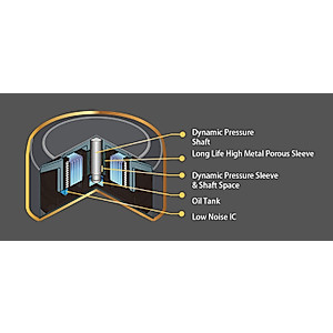 Scythe Kaze Flex II 120 Slim PWN Premium Slim PC Fan,120mm x 15mm, Fluid Dynamic Bearing, 4-Pin Connector (Kaze Flex II Slim, 1500RPM)