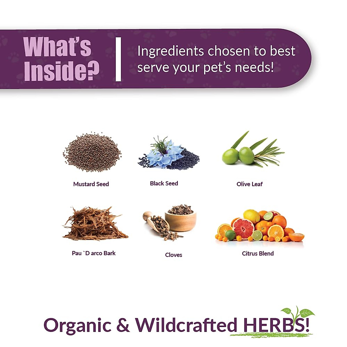 Amber NaturalZ Vibactra Immune Support Herbal Supplement for Dogs, Cats, Birds, Guinea Pigs, and Rabbits | Pet Herbal Blend for Overall Health | 1 Fluid Ounce Glass Bottle | Manufactured in The USA