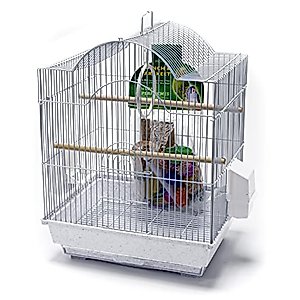 PENN-PLAX Small Bird Starter Kit with Birdcage and Accessories – Great for Parakeets, Lovebirds, Parrotlets, Finches, Canaries, and More – Arch Style Cage – White