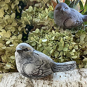Outdoor Yard Decor, Fairy Garden Accessories, Housewarming Gift for Bird Lovers, Resin Stone Tabletop Figurines Set of 2