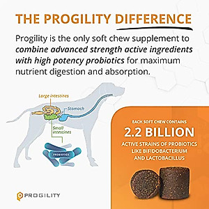 Nootie PROGILITY Advanced Skin & Coat Chews for Dogs - Supports Healthy Skin and Coat to Relieve Itchy Skin and Excessive Shedding with Krill Oil - For All Dog Sizes - 90 ct