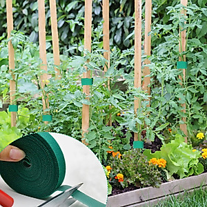 5 Rolls Garden Tie Green Tape - Twist Ties for Plants 1/2" 165ft Garden Plant Ties Soft and Tomato Plant Ties - Plant Twist Tie for Plant Gardening, Home, Office