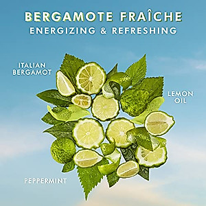 Moroccanoil Hand Wash, Bergamote Fraiche, 12.2 Fl. Oz.