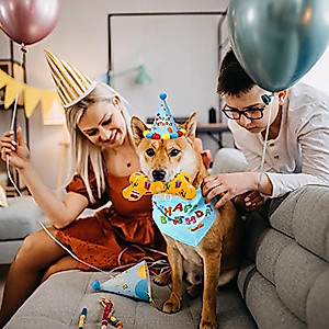 PAWCHIE Dog Birthday Party Supplies - Dog Birthday Bandana, Squeaky Toy, Party Hat and Dog Paw Ink Pad Set, Perfect Pet Birthday Party