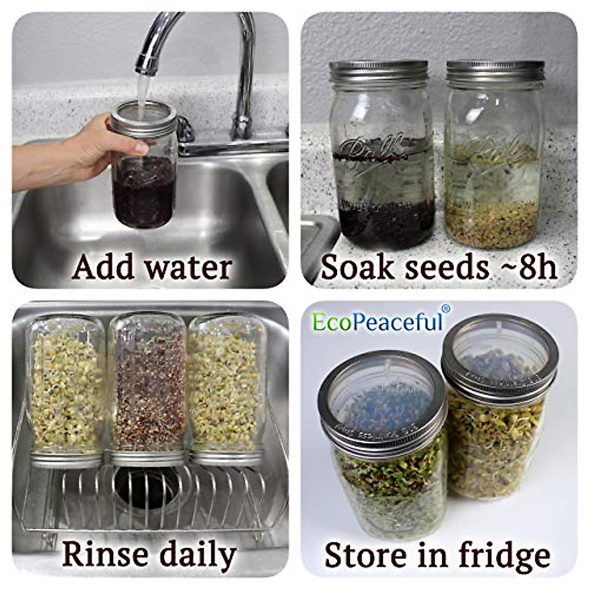 Mason Jar Sprouting Lids - 316 Surgical Stainless Steel Sprouting Lids for Wide Mouth Mason Jars- Rust-Proof, BPA-free - Curved Mesh Lids for Canning Jars (Wide Mouth)