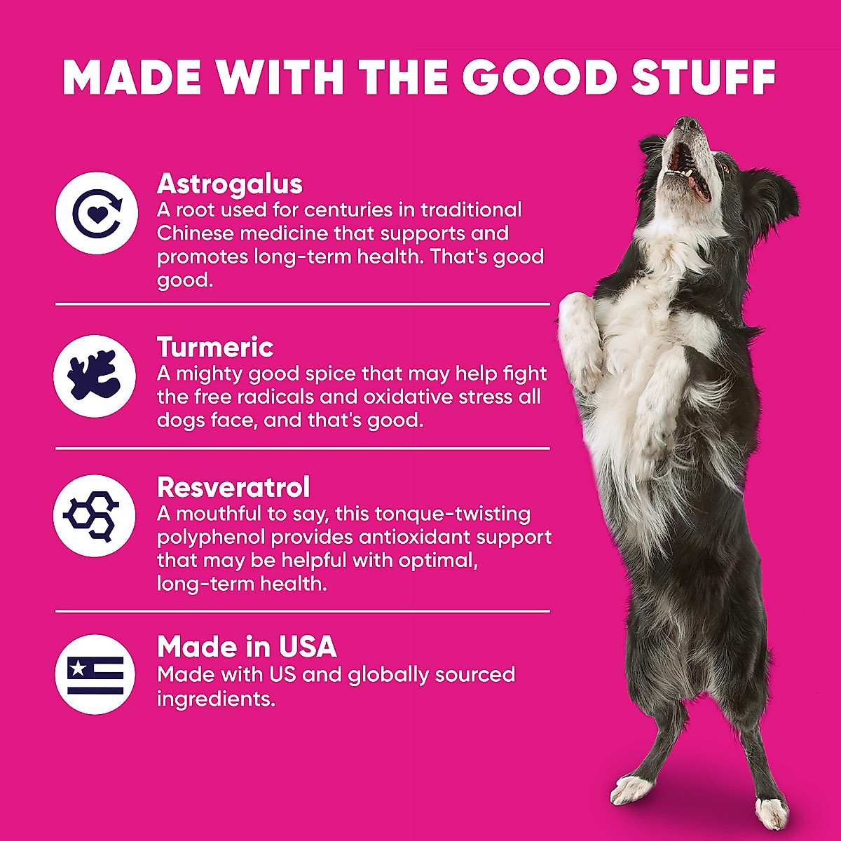 GoodGood Healthy Aging Dog Supplements; Supports Optimal Long-Term Health; Adult or Older Dog; Soft Chews with Astragalus, Turmeric, and Resveratrol; Probiotics; 90 Natural Flavor Chews
