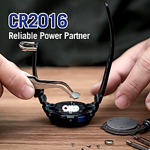 WANZELONYO CR2016 Battery CR2016 3V Lithium Button Cell 100 Count