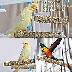 kathson Natural Bird Perch Parakeet Wood Stand Sticks Branches Parrot Paw Grinding Platform Bird Cage Accessories for Budgies Parakeet Cockatiels Conures Lovebirds (8 PCS)