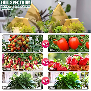 Grow Lights for Indoor Plants,Lxyoug Full Spectrum with 60" Extendable Tripod Stand,420 LEDs 200W Auto On/Off Timing Function Four-Heads Floor Plant Grow Light for Various Plants