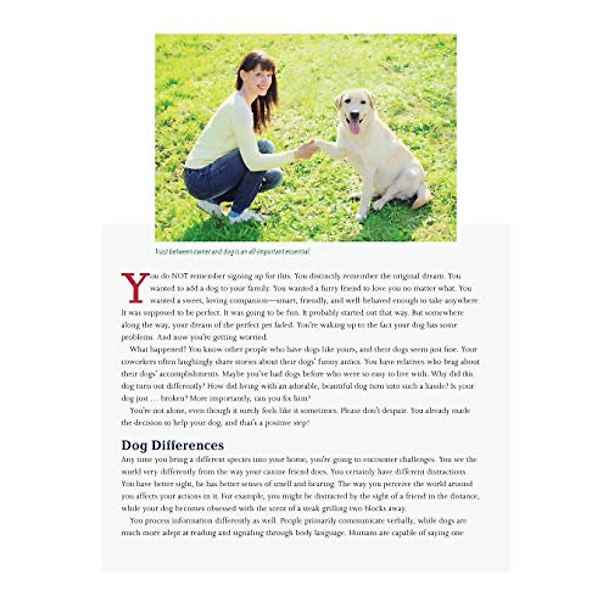The Dog Behavior Problem Solver: Step-by-Step Positive Training Techniques to Correct More than 20 Problem Behaviors (CompanionHouse Books) Fix Barking, Separation Anxiety, Chewing, Begging, and More