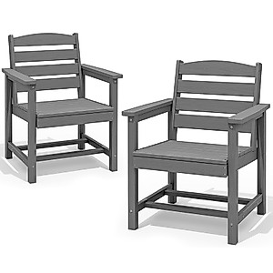 SERWALL Patio Dining Chair Set of 2, Gray