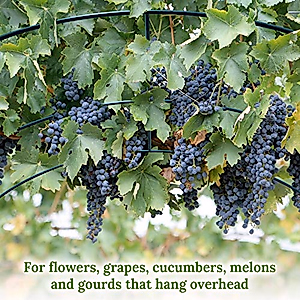 YardGrow Large Garden Support Arch Frame Climbing Plant Arch Arbor for Various Climbing Plant Roses Vines Birthday Wedding Party Decoration Pergola Frame (16' x 7' x 7')