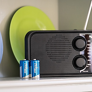 Fuji Enviromax 3200BP2 EnviroMax C Extra Heavy-Duty Batteries, 2 pk, Blue, Standard