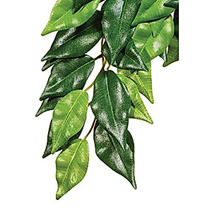 Exo Terra Silk Terrarium Plant, Medium, Ficus