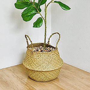 Mr. Fireglass Polished Pebbles Decorative Natural Stones Mixed Aquarium Gravel River Rocks, 3/8 inch, 5 Pounds