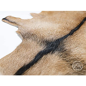 Sunshine Cowhides Genuine Goatskin Rug Goat Skin Goat Hide Goat Skin Rug Exotic 2 x 3 ft.