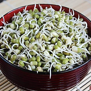 Whole dried Mung Beans Natural aka 'Green Gram' 'Maash' 'Moong' Prewashed Clean Ready to Cook non GMO