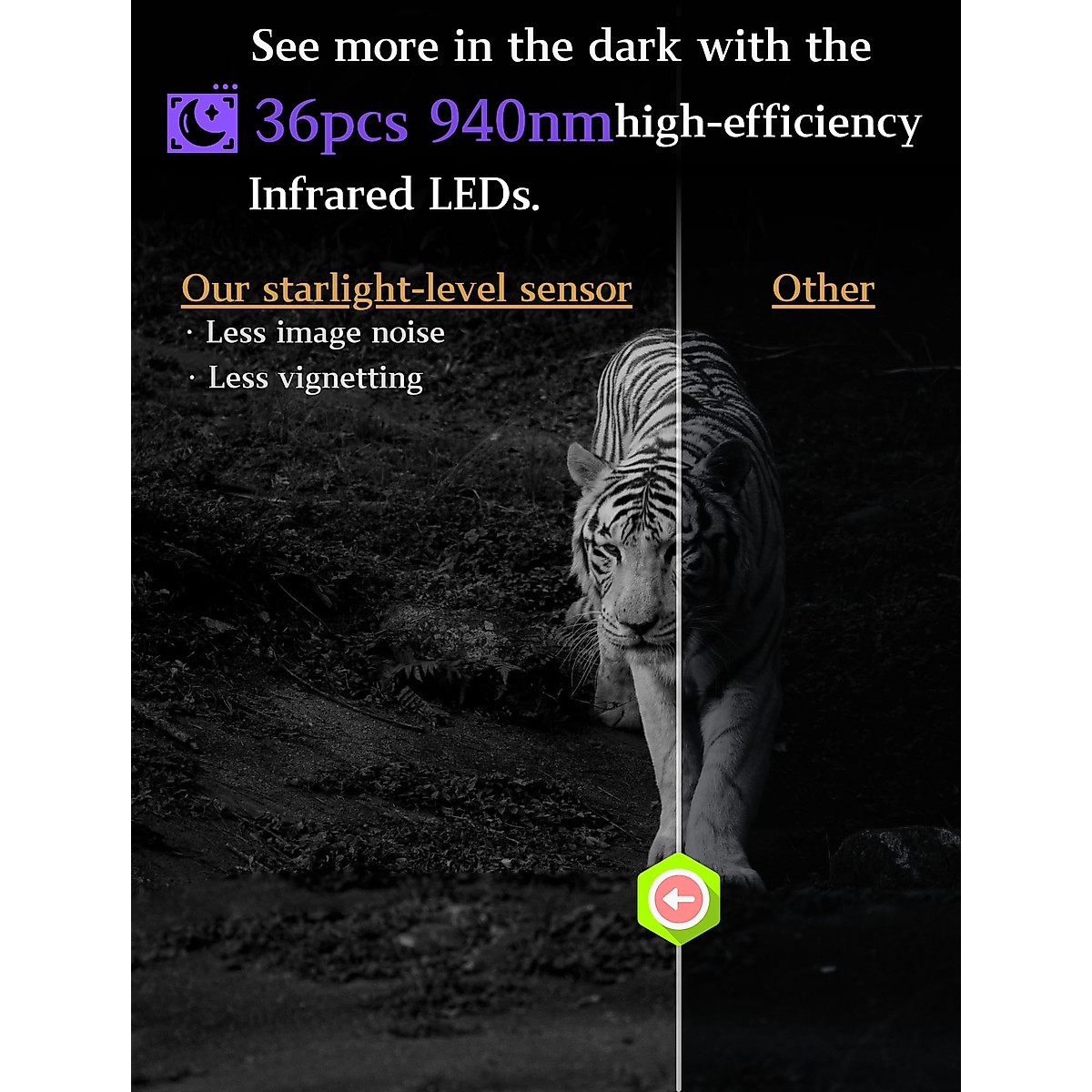 BLAZEVIDEO 2-Pack Game & Trail Camera 32MP 1296P MP4 Video No Glow Night Vision Motion Activated IP66 Waterproof 0.3 Trigger Speed for Hunting Wildlife & Home Surveillance