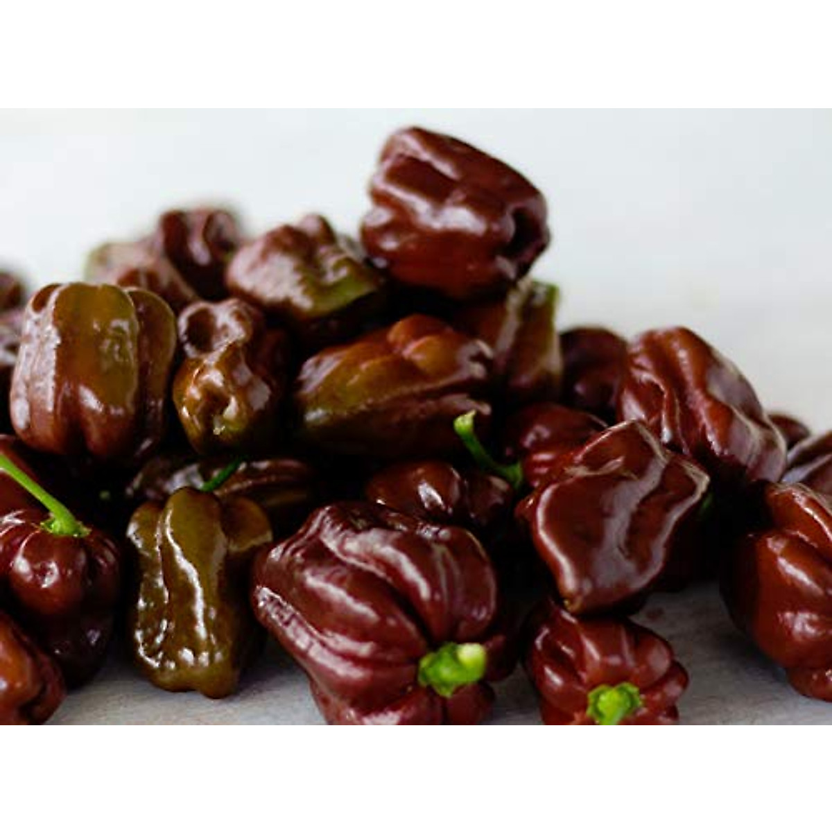 Chocolate Habanero Hot Pepper Seeds- 20+ Seeds by Ohio Heirloom Seeds