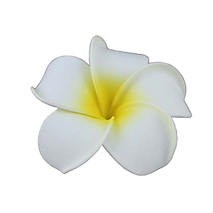 DreamLily Women's Fashion 3 Pcs Hawaiian White Plumeria Flower Foam Hair Clip Balaclavas for Beach (White), One Size