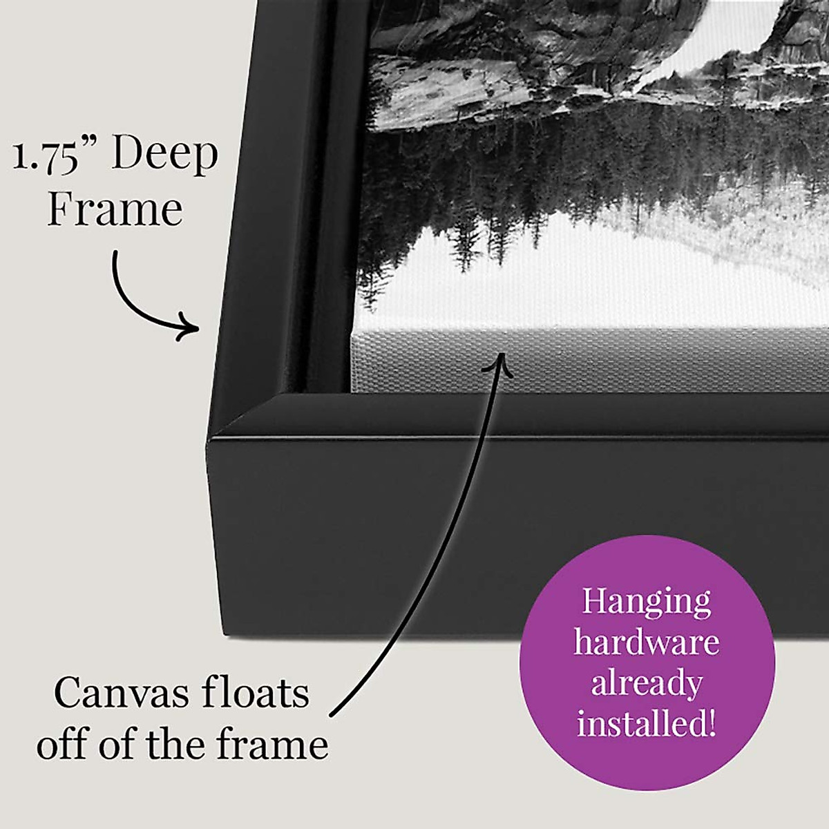 Common Loon family, One adult loon is Black Float Frame Canvas Art, Photography Artwork