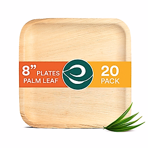 ECO SOUL Compostable 8 Inch Palm Leaf Square Plates (20 Count) Like Bamboo Plates | Biodegradable | Eco-Friendly, Microwave & Oven Safe