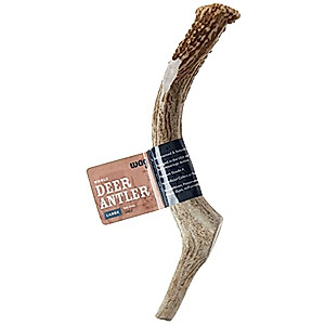 Amazon Brand - Wag Dog Deer Antler Chew, Naturally Shed, Whole, Large 8-9.5 inches (Best for Dogs 30-45 lbs)
