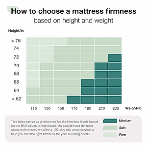 Novilla Twin Mattress, 10 Inch Foam Mattress, Flippable Mattress with Breathable Soft Cover for a Dry, Clean and Double Side Sleep, Twin Size Mattress with Tight Top