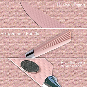 KoudHug Kitchen Knife Set, 9 pieces Pink Knife Set with Acrylic Block Cutting Board & Sharpener, High Carbon Stainless Steel Chef Knife Block Set for Cutting Slicing Dicing Chopping, Nonstick Coating