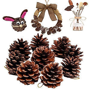JOHOUSE Natural Pine Cones, Christmas Rustic Pinecones Fall Garland Halloween Thanksgiving Decorations, Christmas Tree Fall Ornaments,18 PCS