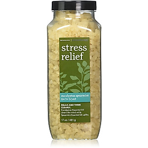 Bath and Body Works Eucalyptus Spearmint Bath Soak Aromatherapy