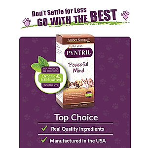 AMBER NATURALZ Pyntril Peaceful Mind Herbal Supplement for Dogs, Cats, Birds, Guinea Pigs, and Rabbits | Herbal Pet Supplement for Relaxation | 1 Fluid Ounce Glass Bottle | Manufactured in The USA