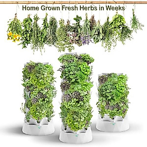 Nutraponics Hydroponics Tower - Hydroponics Growing System for Indoor Herbs, Fruits and Vegetables - Aeroponic Tower with Hydrating Pump, Timer, Adapter, Seeding Bed & Net Pots (Aqua 48)