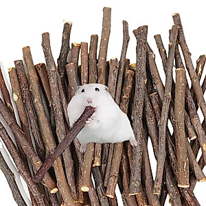 Barn Eleven 100g/0.22lb Natural Apple Sticks, Treats Food for Small Animals, Chew Toys for Chinchilla Guinea Pigs Rabbit Squirrel Hamster Bunny (100g/0.22lb)