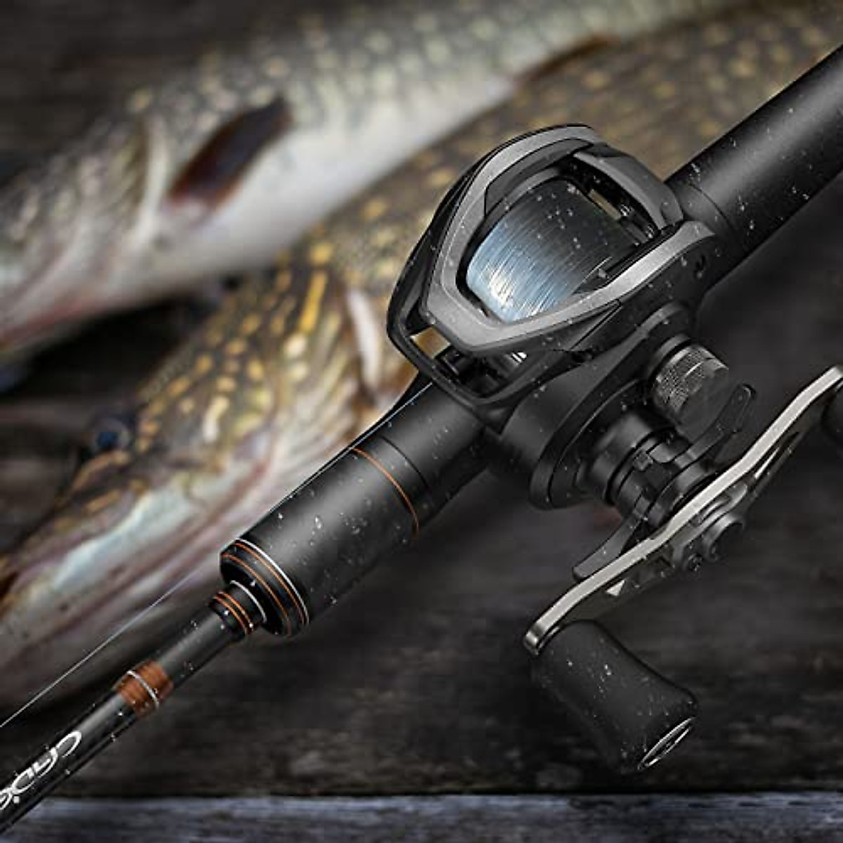 Cadence Essence Low Profile Fishing Reel，Lightweight Baitcasting Reel with 8 Corrosion Resistant Bearings， 20 lbs Carbon Fiber Drag with High Speed 7.3:1 Gear Ratio Baitcaster Reels