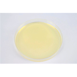 Potato Dextrose Agar (PDA) with Tartaric Acid, (10-Pack), Pre-Poured, 15x100mm Petri Plates. Great for Mushroom Cultivation. for The Isolation of Yeasts and Molds.