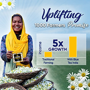 BLUE TEA - Indian Chai Masala - 12 Teabags | Ginger, Cinnamon, Cardamom | Caffeine Free - Gluten Free | Direct From Source - Plant-Based Biodegradable Tea Bag | For Gift - Anniversary, Birthday