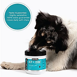 ACTIVPHY Hip + Joint Supplement with Glucosamine, MSM, and Blue Green Algae Extract, Vet Formulated, Anti-Inflammatory, Arthritis Relief, & Antioxidants, Made in USA, For Dogs, 75 ct